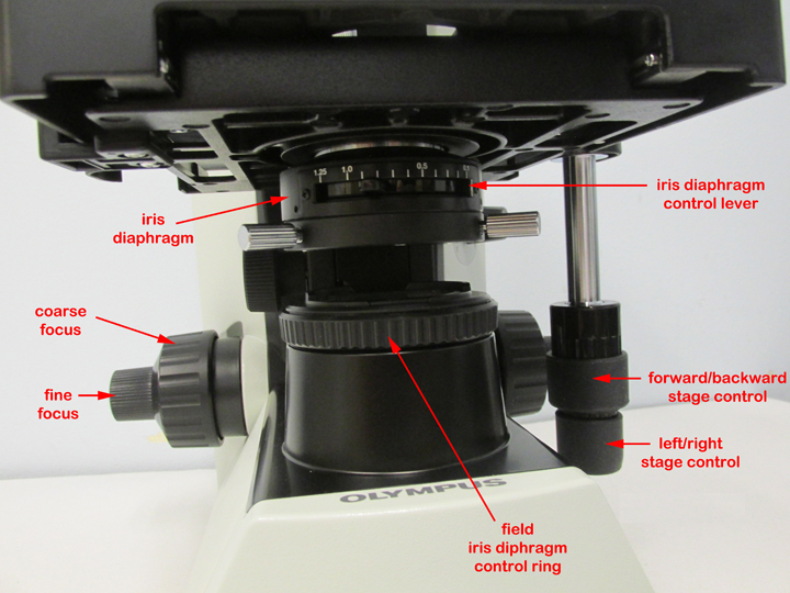 iris diaphragm and condenser microscope function