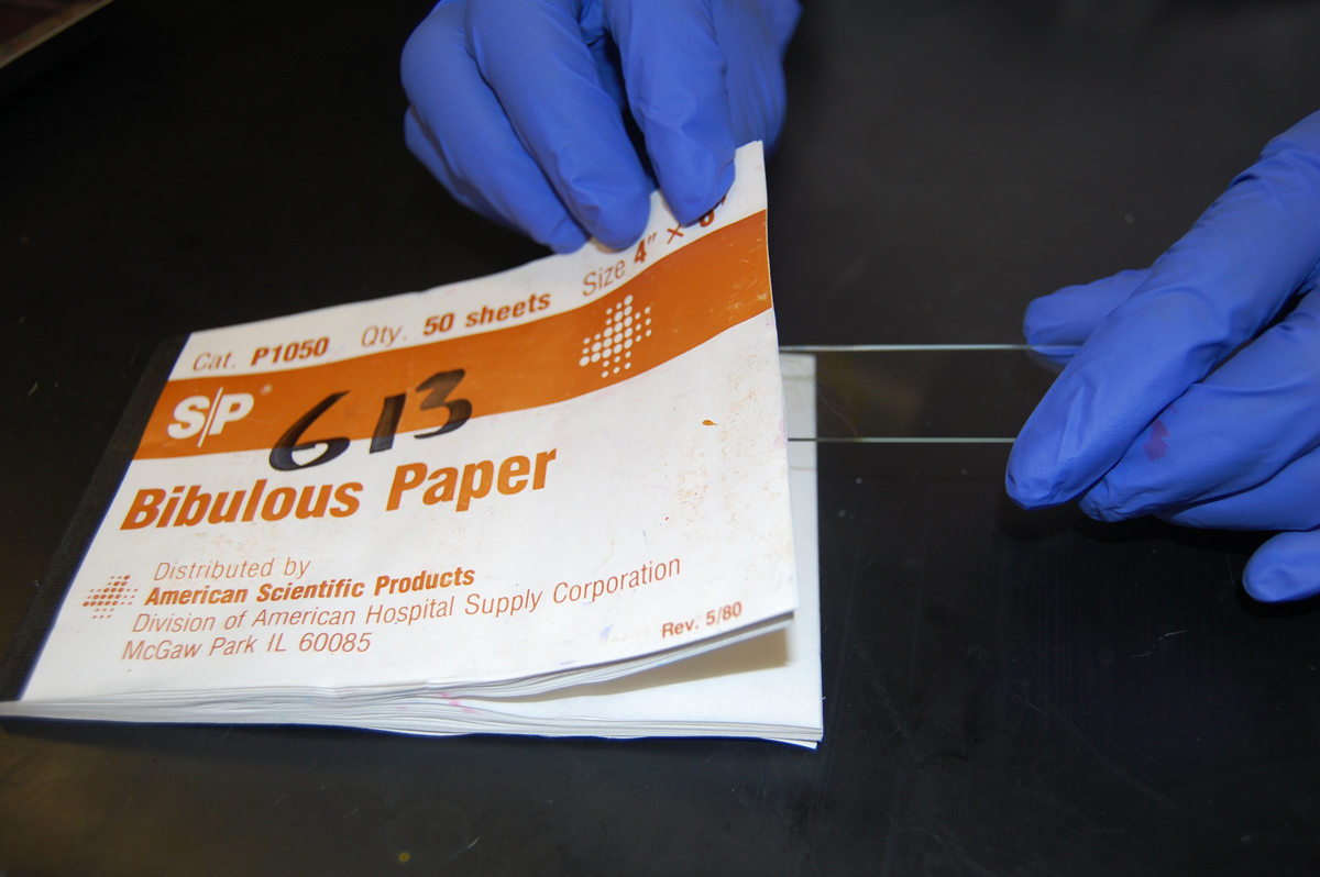 BIOL 230 Lab Manual: Preparing a Slide for Staining