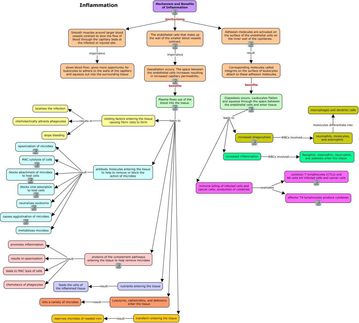 Answers Inflammation html