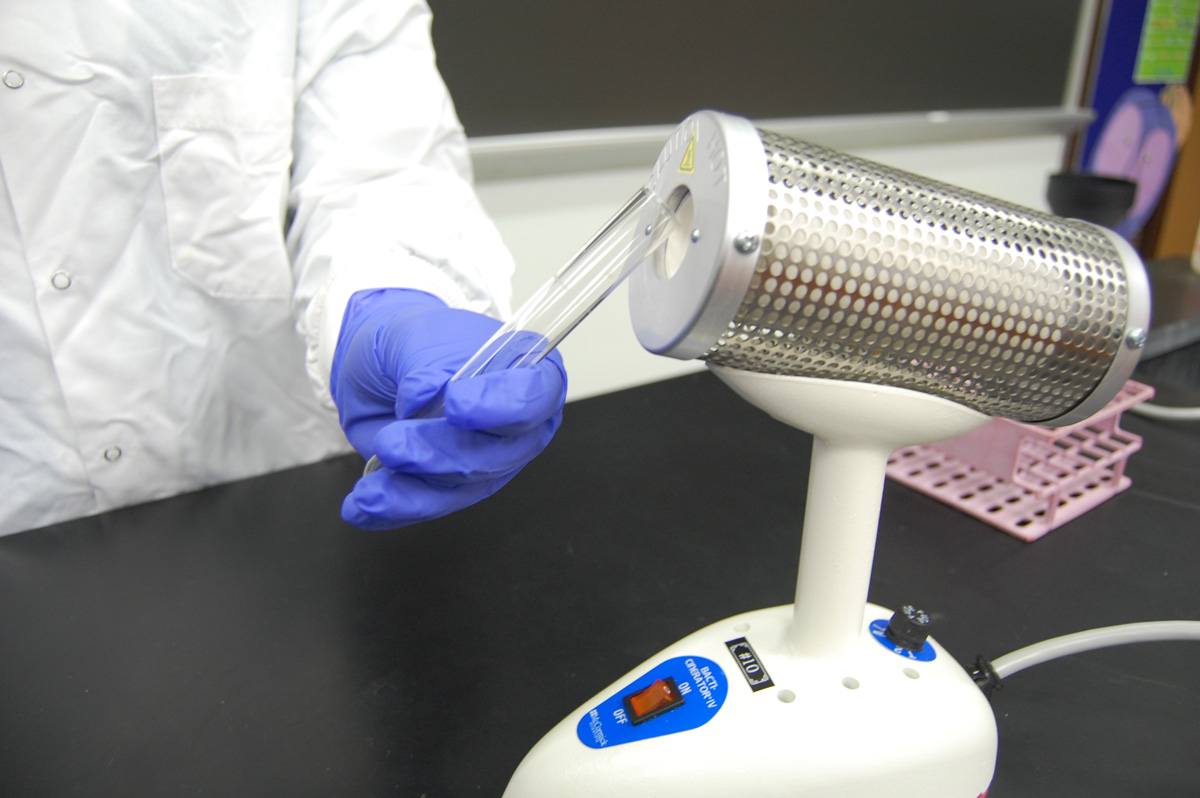 Biol 230 Lab Manual, Lab 2