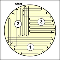 BIOL 230 Lab Manual: Streaking for Isolation