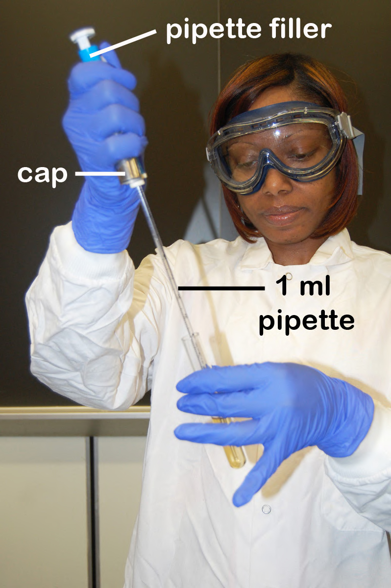 BIOL 230 Lab Manual, Lab 4
