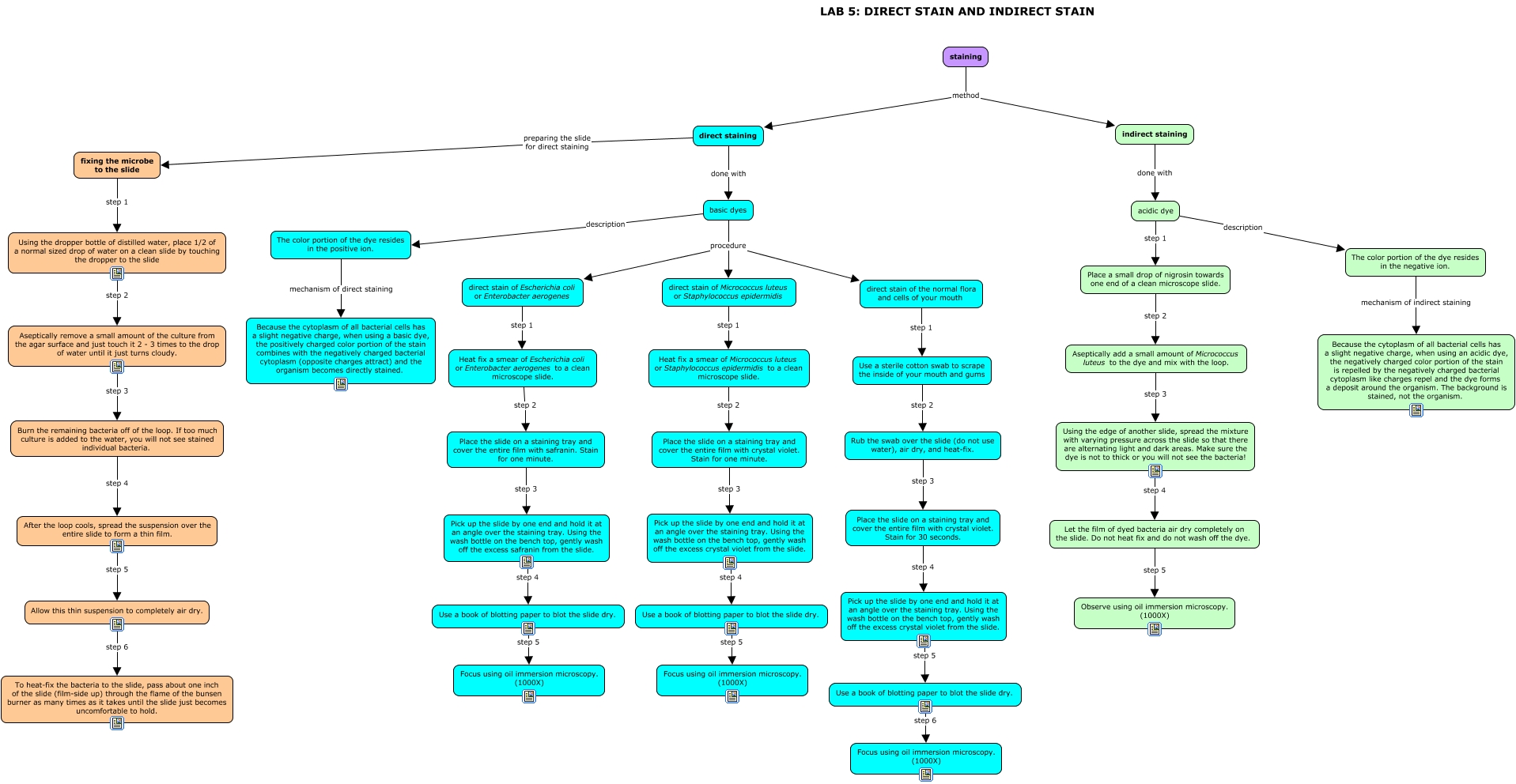 LAB 5 - DIRECT STAIN AND INDIRECT STAIN.html