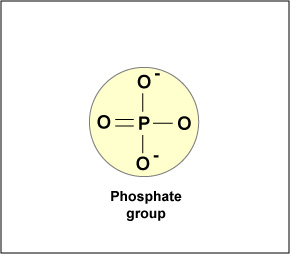 phosphate group examples